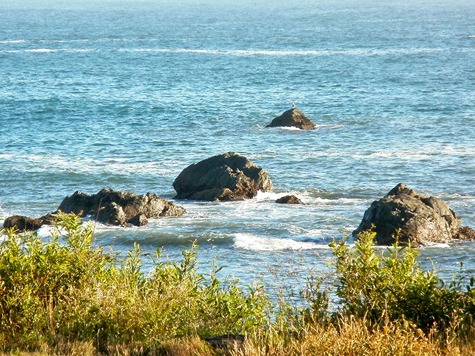 The Smith River's emerald pools reflect the surrounding forest like nature's own infinity mirror, minus the hefty designer price tag.