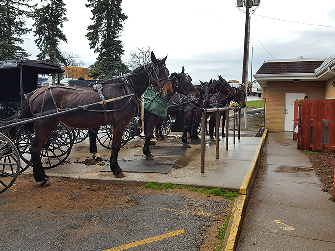 The original ride-share program: Amish buggies waiting patiently outside. Horse-powered transportation that never needs charging.