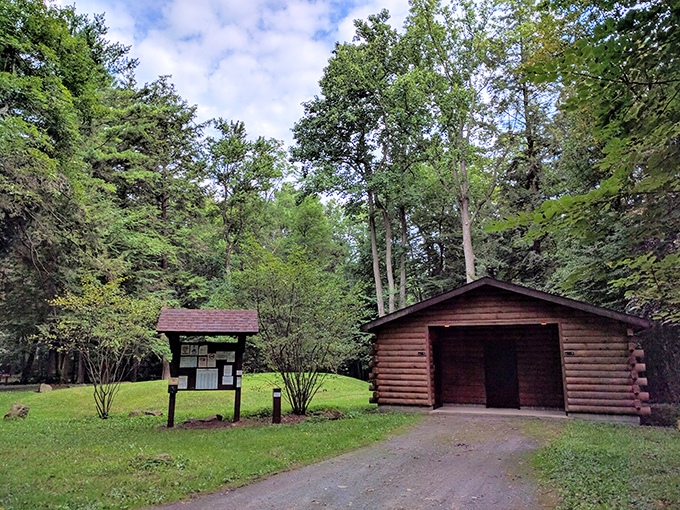 Rustic accommodations with five million stars. This log cabin and information board welcome visitors to leave their urban expectations behind.