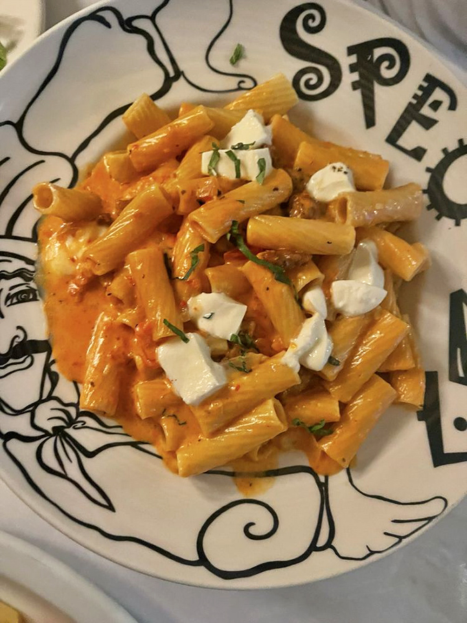 Rigatoni in a sunset-hued sauce dotted with fresh mozzarella. The kind of pasta that makes you slow down and savor every forkful.