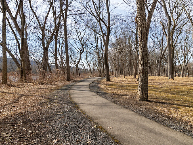 Leafless trees line this serene trail, creating a natural cathedral of branches &mdash; a calming scene in soft browns and grays that soothes the soul.