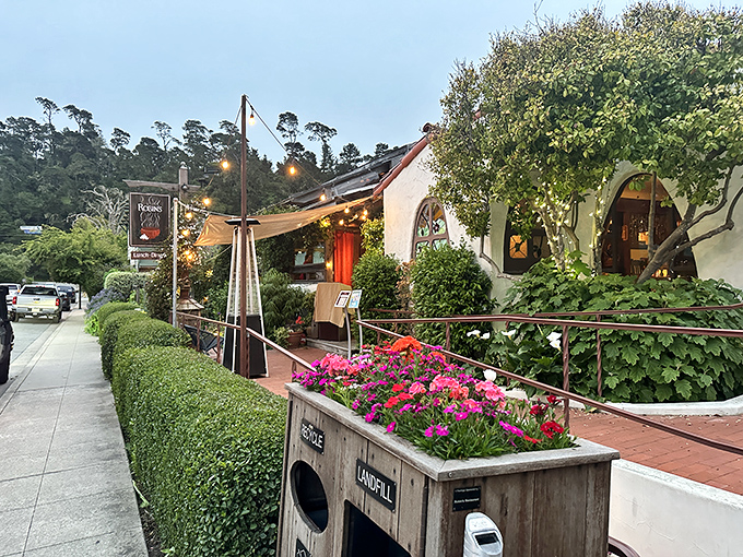 Robin's Restaurant garden patio&mdash;where California cuisine meets global inspiration under a canopy of twinkling lights and evening stars.