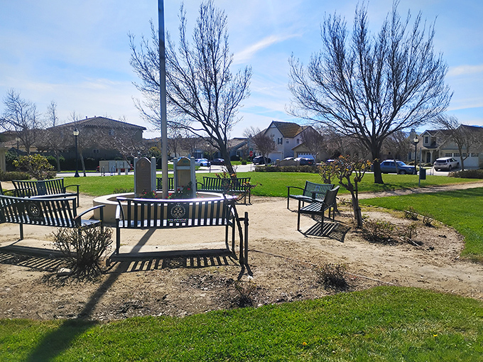 Town square simplicity: these benches have hosted first dates, family picnics, and the kind of conversations that don't happen on text.