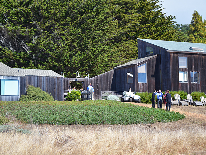The weathered wood exteriors of Sea Ranch buildings age like fine wine&mdash;getting more character with each passing year.