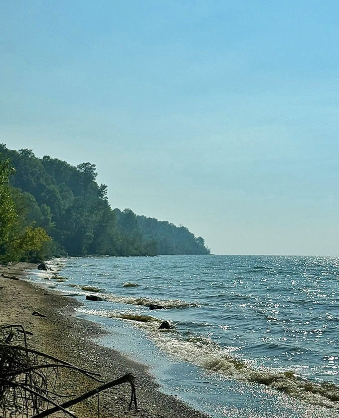 Lake Erie's shoreline at the park offers a rocky, untamed beauty. This isn't your manicured beach experience&mdash;it's something far more authentic and soul-satisfying.