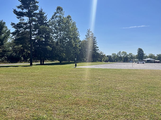 Spreuer Park offers a peaceful respite from exploring, with open green spaces perfect for picnics featuring local culinary treasures.