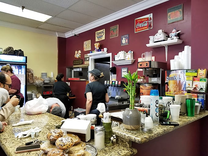 The kitchen counter&mdash;where magic happens and diet plans go to die. Worth every delicious calorie.