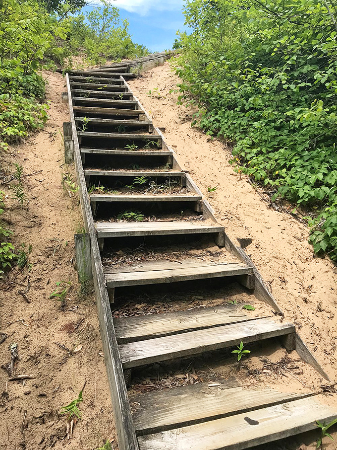 Stairway to heaven, Wisconsin-style. These sandy steps lead adventurers to panoramic views that no elevator could ever reach.