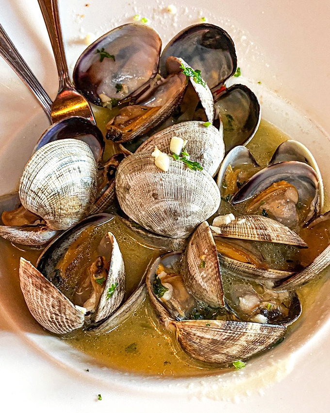 Steamed clams swimming in aromatic broth that'll have you reaching for extra bread without shame. 