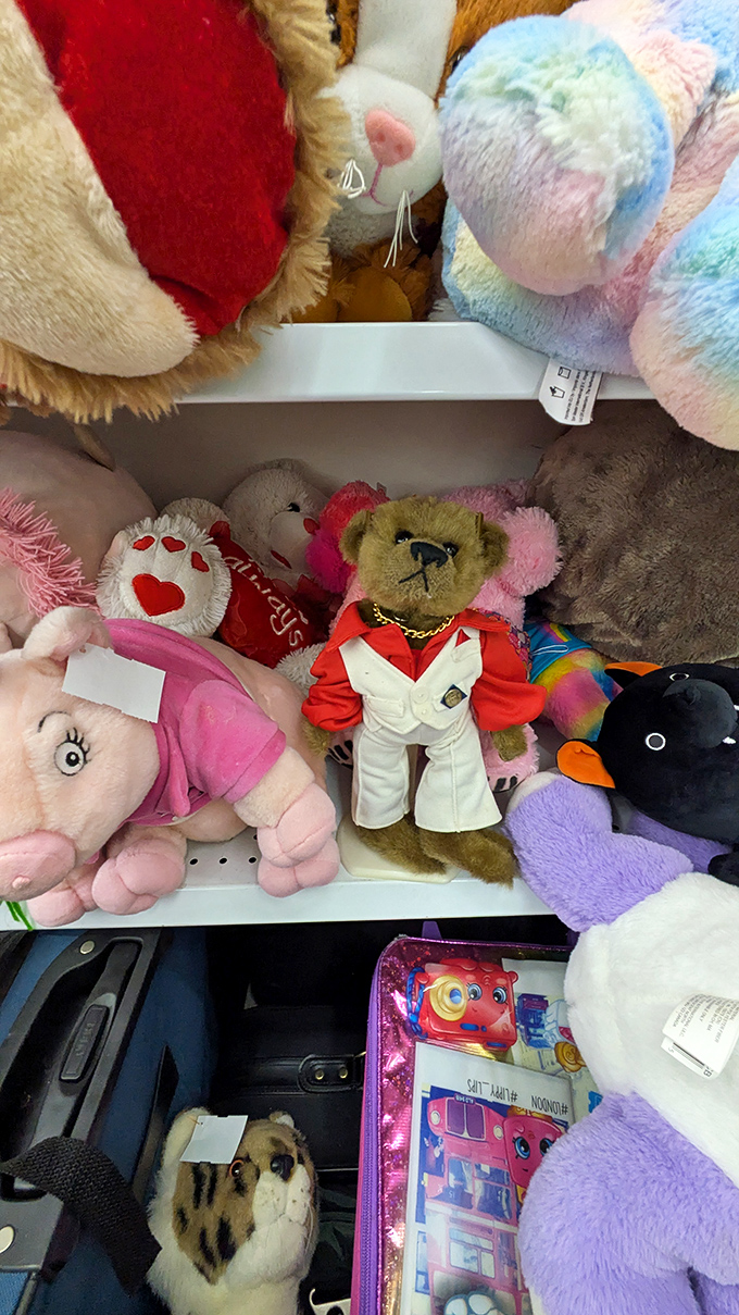 A colorful committee of stuffed animals holds an impromptu meeting. That dapper bear in the red jacket clearly chairs the plush department with distinguished authority.