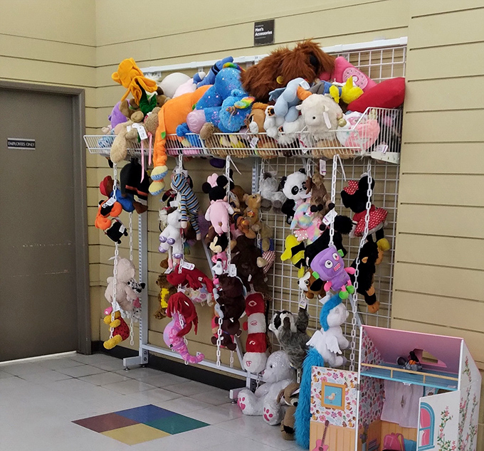 A plush menagerie awaits adoption, each stuffed animal silently promising to be the perfect cuddle companion for its next owner.