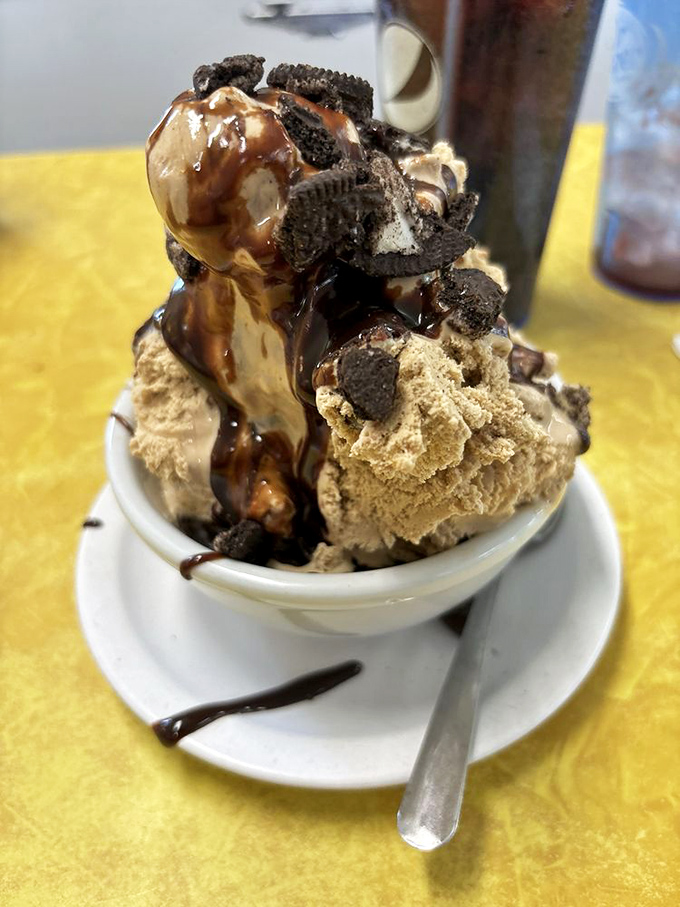 Cookies and cream elevated to art form status. That hot fudge river cutting through creamy terrain would make any geographer weep with joy.