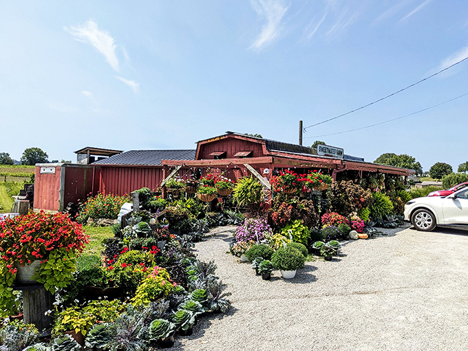 Sweetwater Farm bursts with colorful blooms and greenery. This riot of plants proves that sometimes the most vibrant attractions grow right from the Ohio soil.