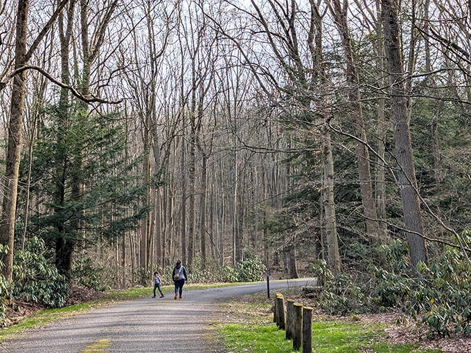 The original social distancing. These two hikers demonstrate the perfect way to experience tall trees and winding paths&mdash;one conversation and many breaths of fresh air.