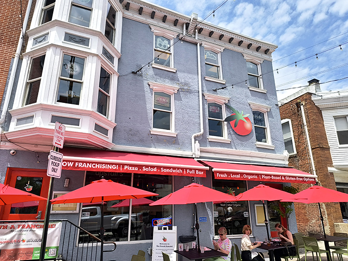 The Couch Tomato's cheerful facade and sidewalk dining invite passersby to pause for pizza perfection. Red umbrellas signal the universal language of "good food here."