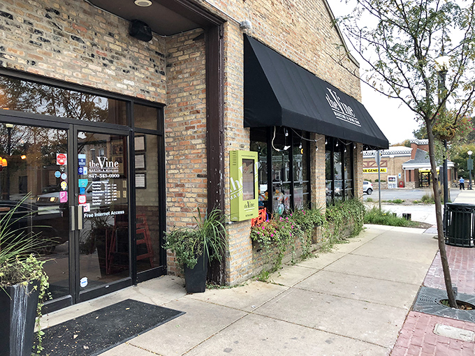 The Vine's exposed brick walls and welcoming entrance offer sophisticated sipping without the pretentious pricing of big-city wine bars.