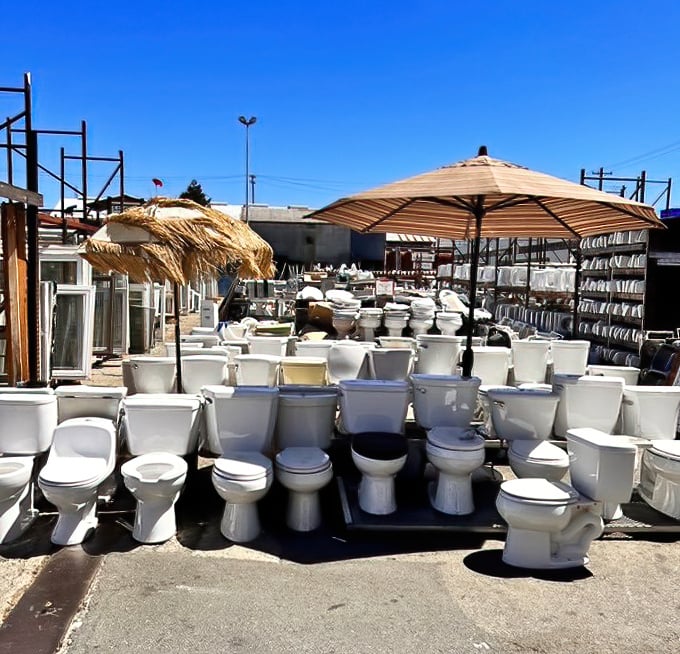 The toilet garden: possibly the only place where you can contemplate life's big questions while surrounded by dozens of porcelain thrones.