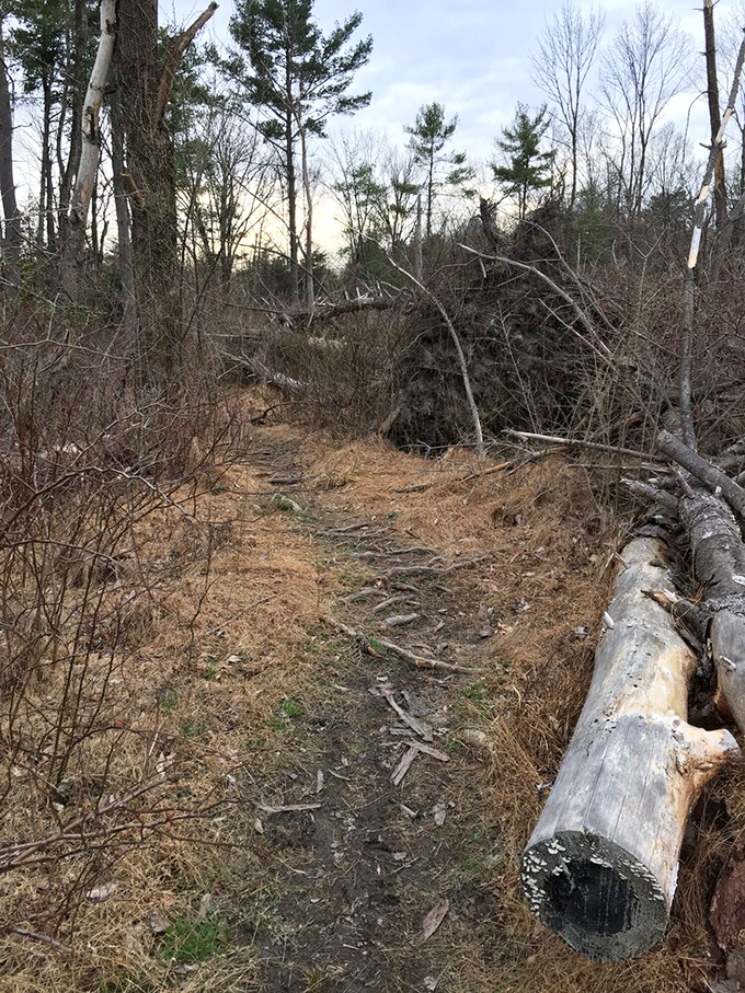 The path less traveled beckons. This rustic trail promises adventure with a side of "maybe I should have worn different shoes."