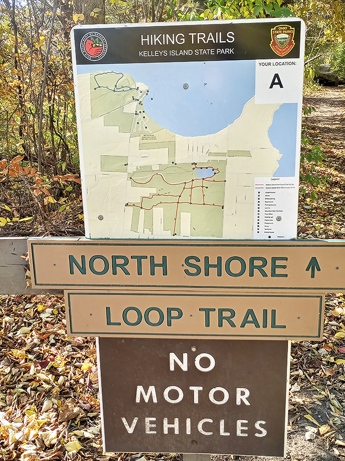 Trail maps become treasure maps when every path leads to scenic overlooks and peaceful discoveries.