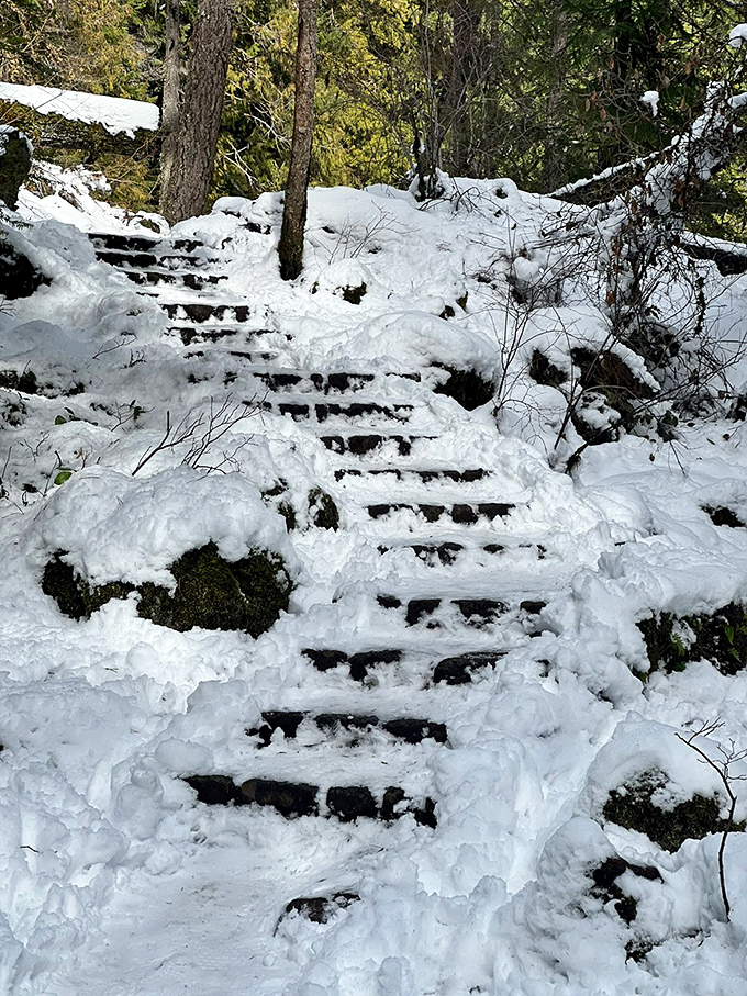Winter transforms the staircase into a snow-covered challenge. The season adds difficulty level: expert, but rewards the brave with solitude.