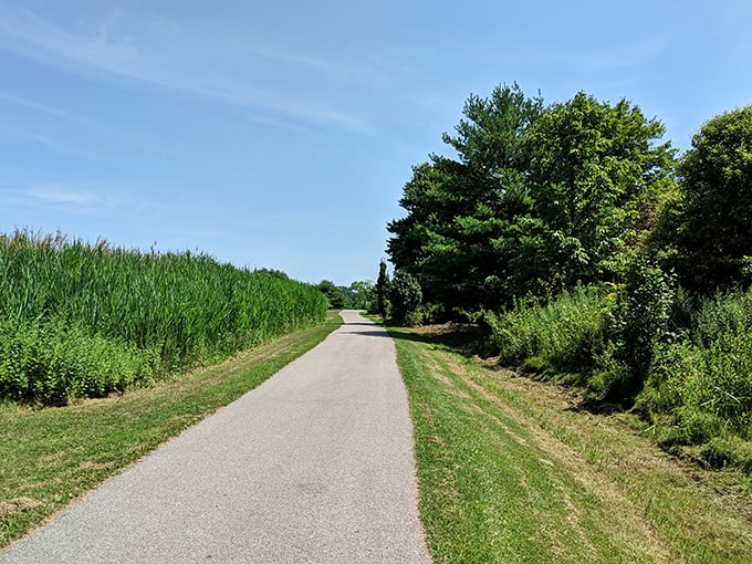 Sunlight dapples this inviting trail where cornfields meet forest&mdash;the perfect path for working off that extra slice of pie.