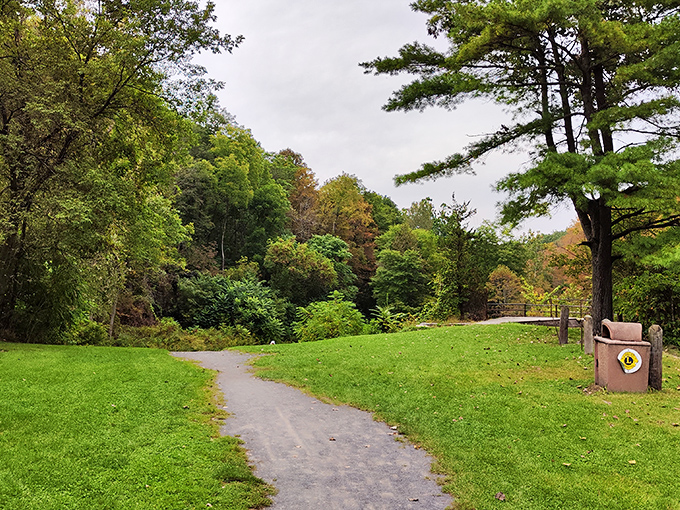 The path less traveled often leads to the best discoveries, as this winding trail promises adventures through Pennsylvania's northern woodlands.