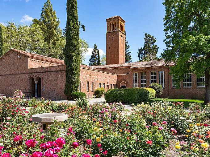 Trinity Hall's brick façade and tower stand as testaments to academic tradition, surrounded by trees that have witnessed generations of students discovering both knowledge and themselves.