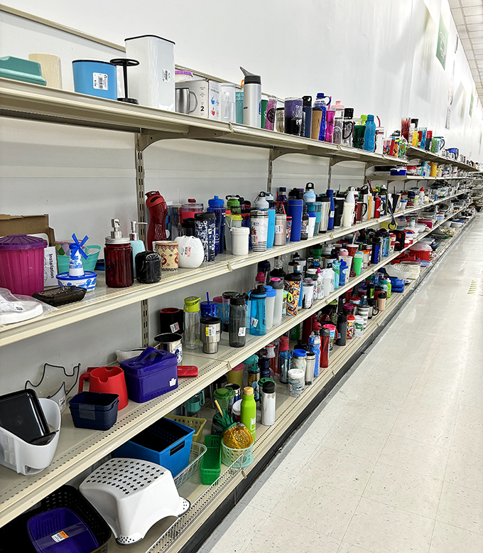 The water bottle aisle&mdash;where hydration meets personality! Hundreds of tumblers, thermoses, and containers stand at attention, ready for new adventures.