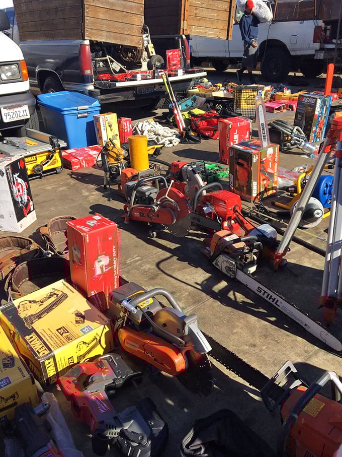 The tool hunter's dream landscape &ndash; chainsaws and power equipment waiting for second chances and DIY heroes.