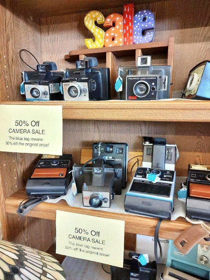 Vintage cameras await new owners&mdash;these mechanical marvels captured memories long before "selfie" became part of our vocabulary.