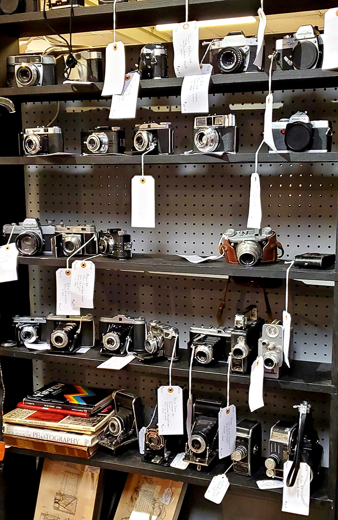 Vintage cameras that captured someone's wedding day or baby's first steps now wait for collectors who appreciate mechanical artistry from a pre-digital era.
