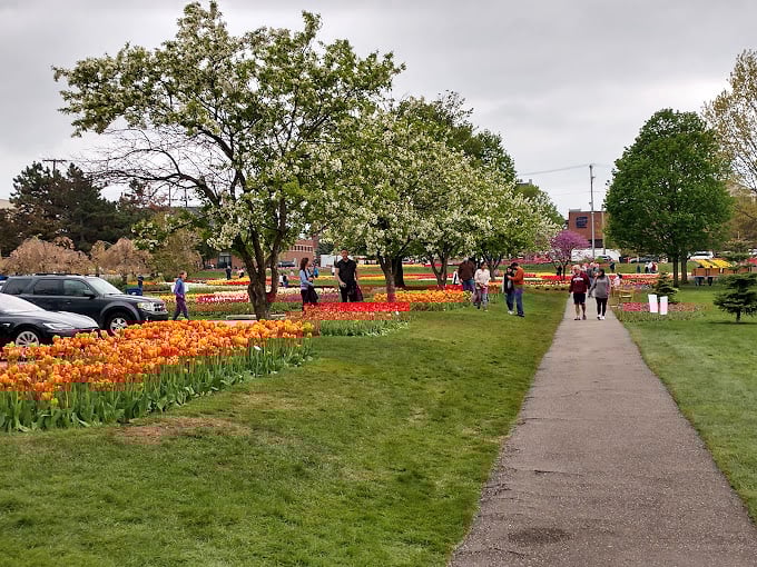During Tulip Time, Holland's parks transform into a kaleidoscope of colors that would make even the most seasoned Dutch tulip farmer nod in approval.