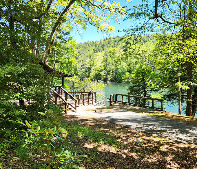 Steps leading to the water create a perfect transition from forest to lake, as if nature designed its own grand entrance.
