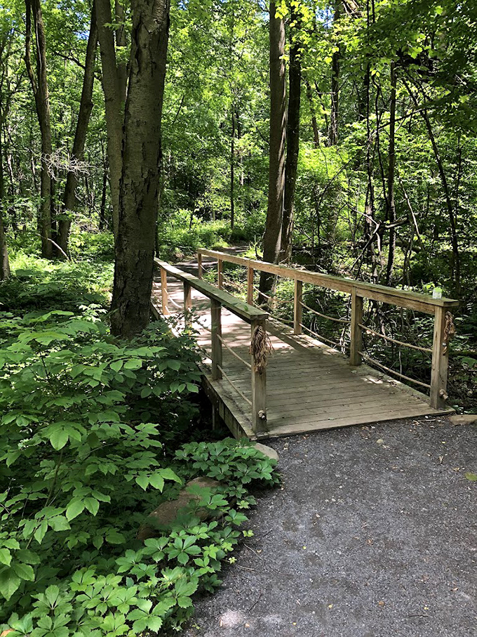 Nature trails and wooden footbridges connect Lock Haven residents to Pennsylvania's lush woodlands &ndash; free therapy courtesy of Mother Nature herself.