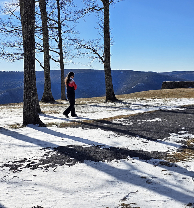 Winter transforms Hyner View into a monochromatic masterpiece. The bare trees and snow-dusted ground create nature's version of a classic black and white film.
