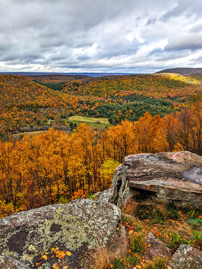 Autumn ignites the valley in a fiery display that would make Bob Ross reach for his brightest paints. Nature's fireworks show lasts for weeks.