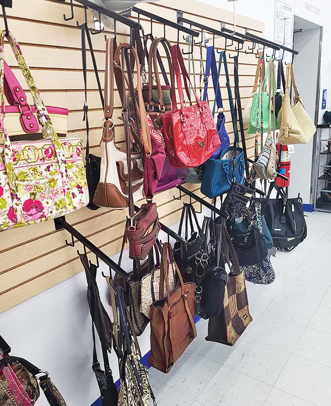 A rainbow of handbags dangles like fashionable fruit, from practical crossbodies to statement purses that cost less than yesterday's lunch.