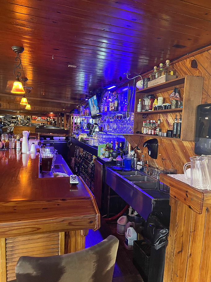 Not just a bar, but a community watering hole in the truest sense. The blue lighting adds a touch of unexpected cool to this warm, wooden haven. 