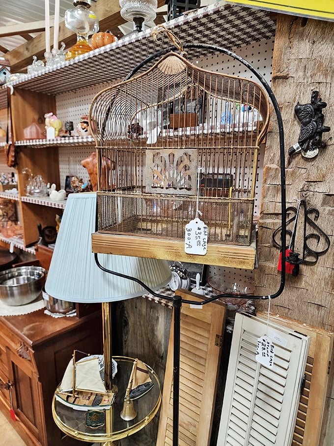 An empty birdcage that somehow speaks volumes. Beside it, lampshades and shutters await their second act in someone's carefully designed space.