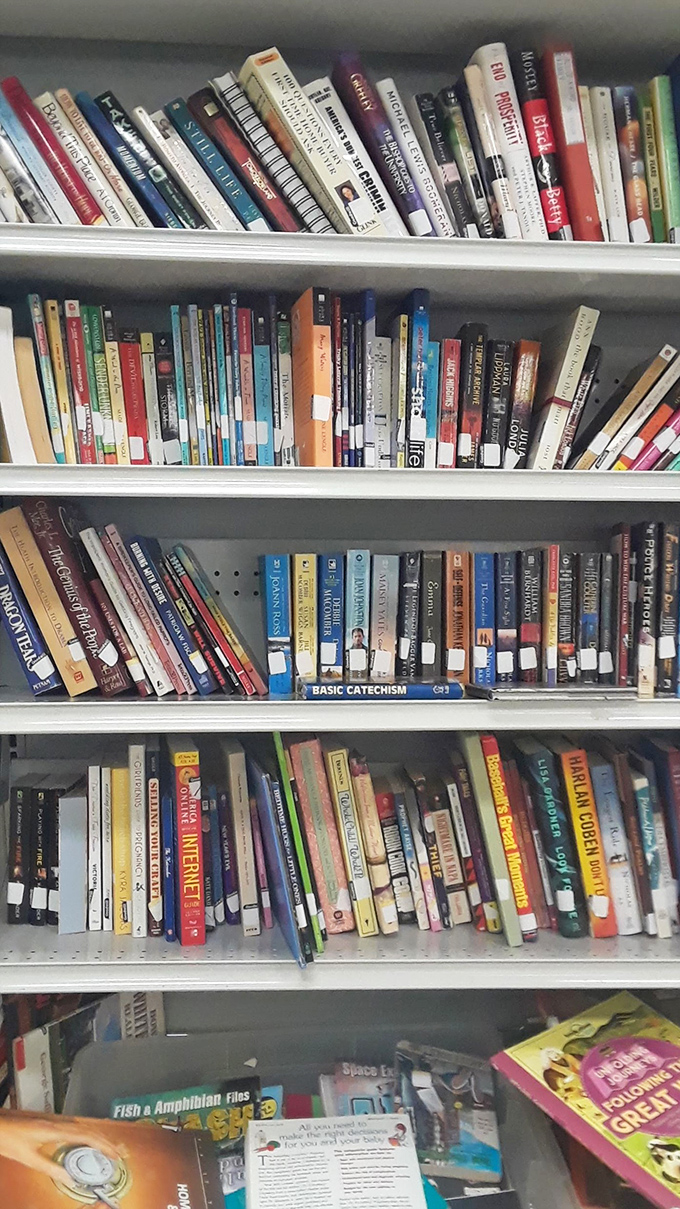 The book section: where dog-eared paperbacks and forgotten bestsellers find new readers. Literary treasures hiding in plain sight.