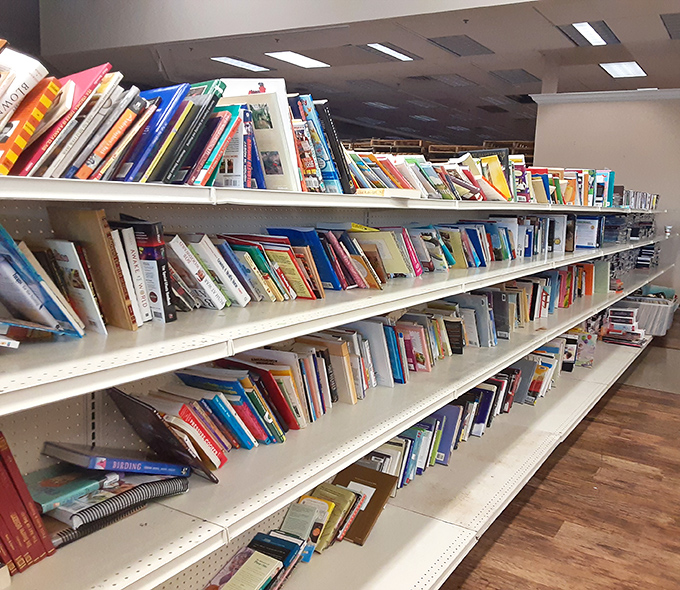 Literary treasures await on these shelves. From forgotten bestsellers to cookbooks with someone else's favorite recipes already bookmarked.