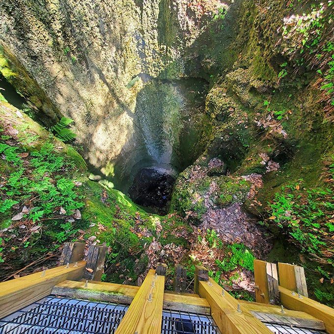 The dramatic finale &ndash; peering down into this moss-lined sinkhole feels like discovering a secret portal to another world entirely.