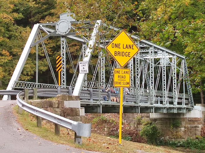 This one-lane metal bridge demands you slow down—a metaphor for the entire park experience that modern life desperately needs.