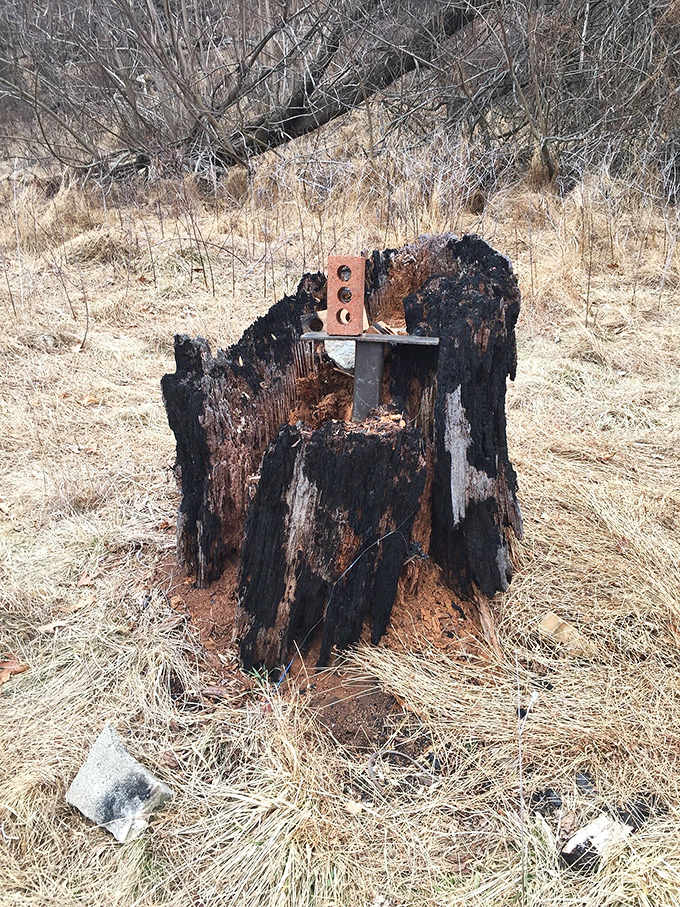 Even decay becomes art here&mdash;this charred stump transformed into a primitive altar where visitors leave small offerings to the spirit of creativity.