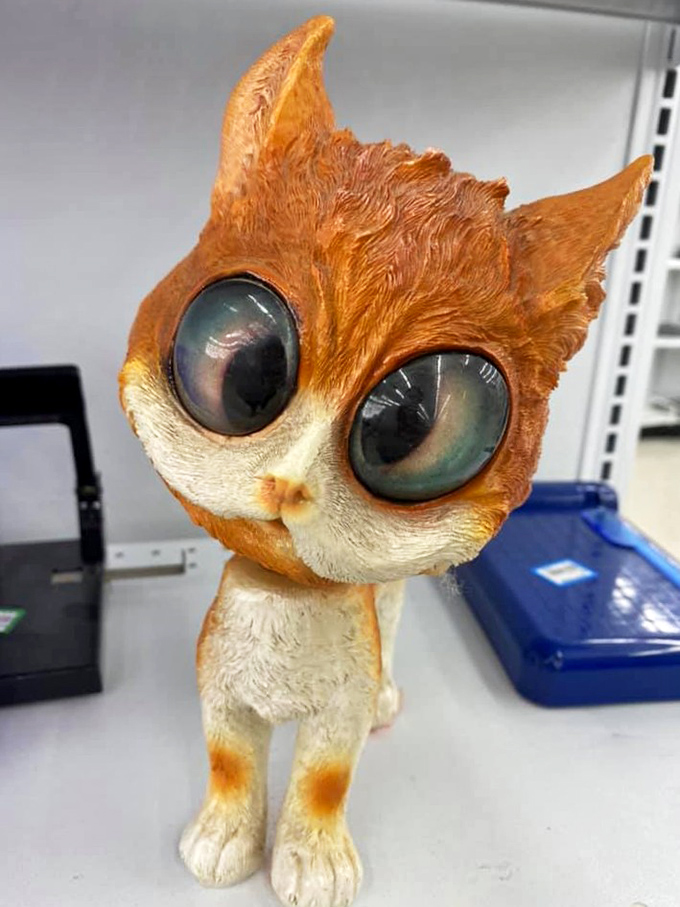 This wide-eyed cat figurine has seen things. Those enormous glass eyes follow you around the store, judging your thrift selections.