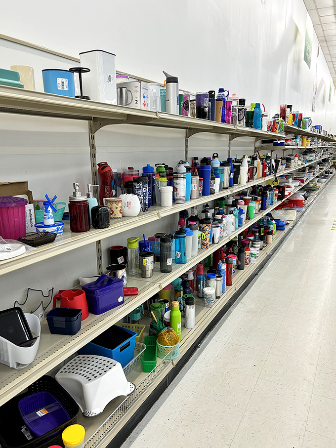 The water bottle aisle could hydrate a small nation, with enough variety to match every personality type and fitness goal.