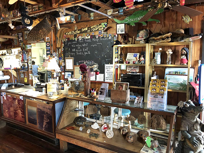 Part souvenir shop, part culinary time machine, the counter at Joanie's showcases treasures from the swamp alongside treasures for your stomach.