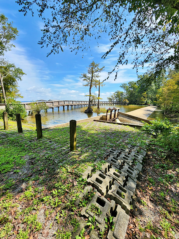 Where engineering meets nature: this boardwalk offers front-row seats to Lake Waccamaw's serene beauty without disturbing its delicate ecosystem.