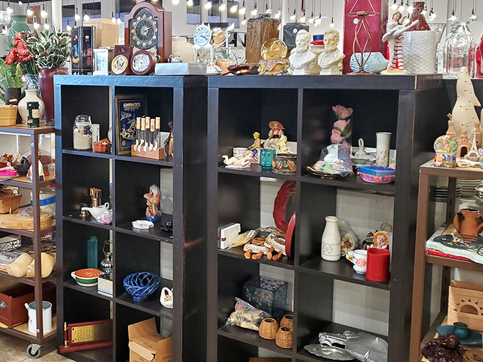 Curio cabinets filled with conversation pieces that whisper, "Take me home and make your houseguests ask where you found me!"