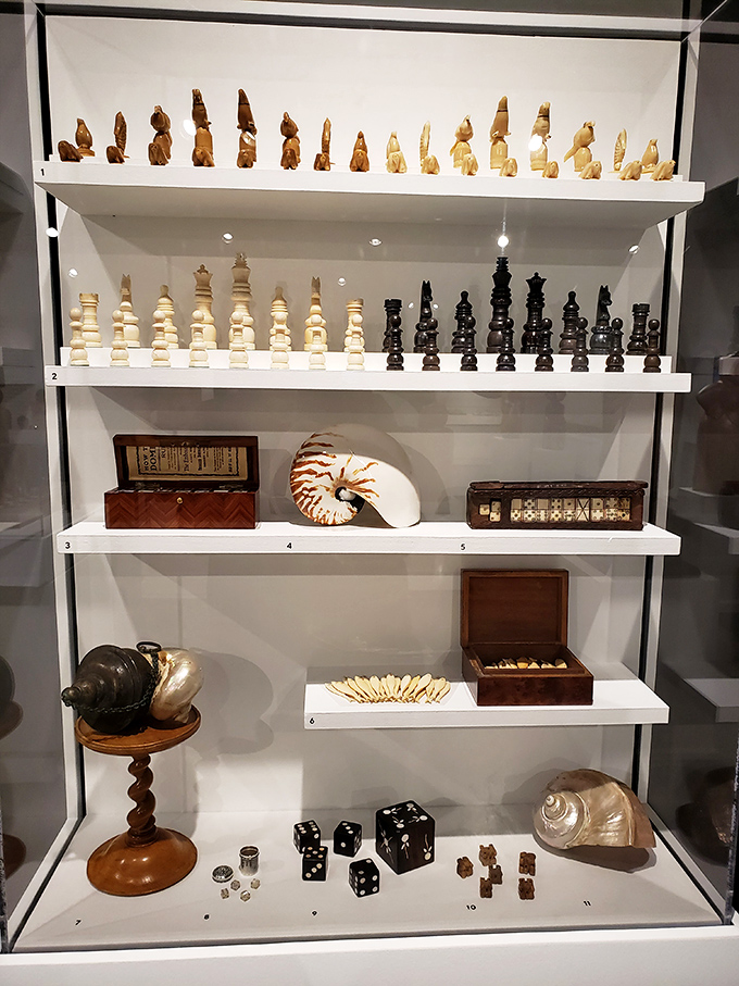 Display cases showcase chess history through pieces that tell stories spanning centuries and continents.